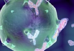Bioanalytical Lab & Top CRO for Large Molecule Bioanalysis | BioAgilytix