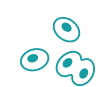 Bioanalytical Lab & Top CRO for Large Molecule Bioanalysis | BioAgilytix