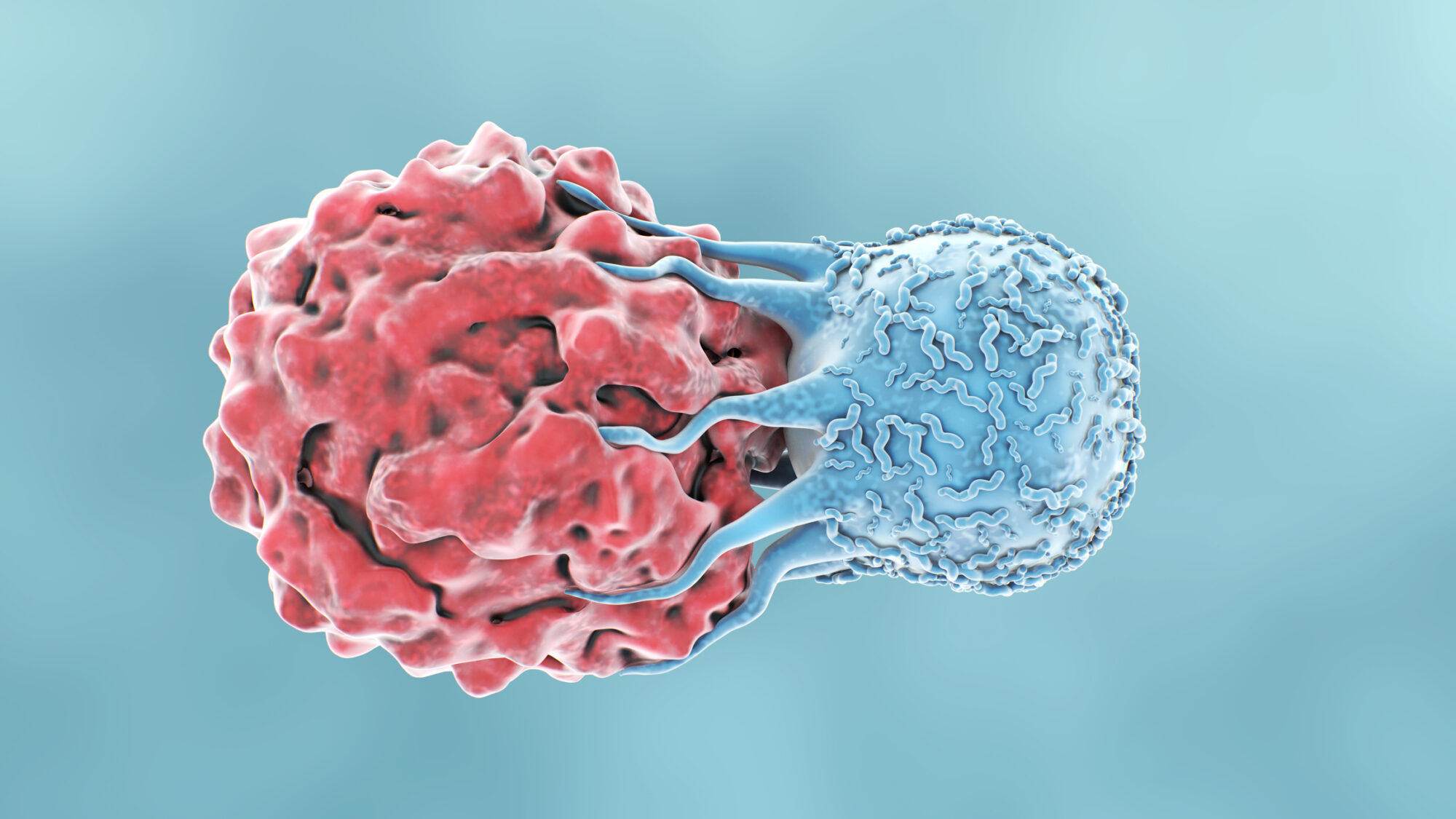 Safety and Efficacy Testing of Cell Therapies | BioAgilytix