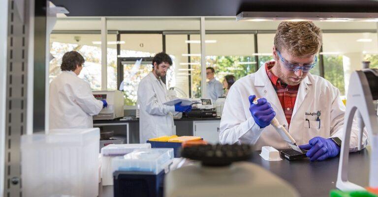 Impurities Testing for GMP Manufacturing | GMP Lab Requirements