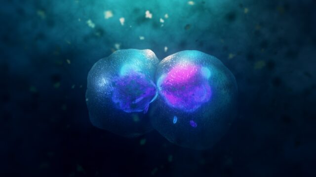 Critical Reagents | BioAgilytix