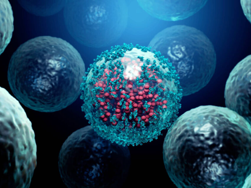 Flow Cytometry Assay Bioagilytix