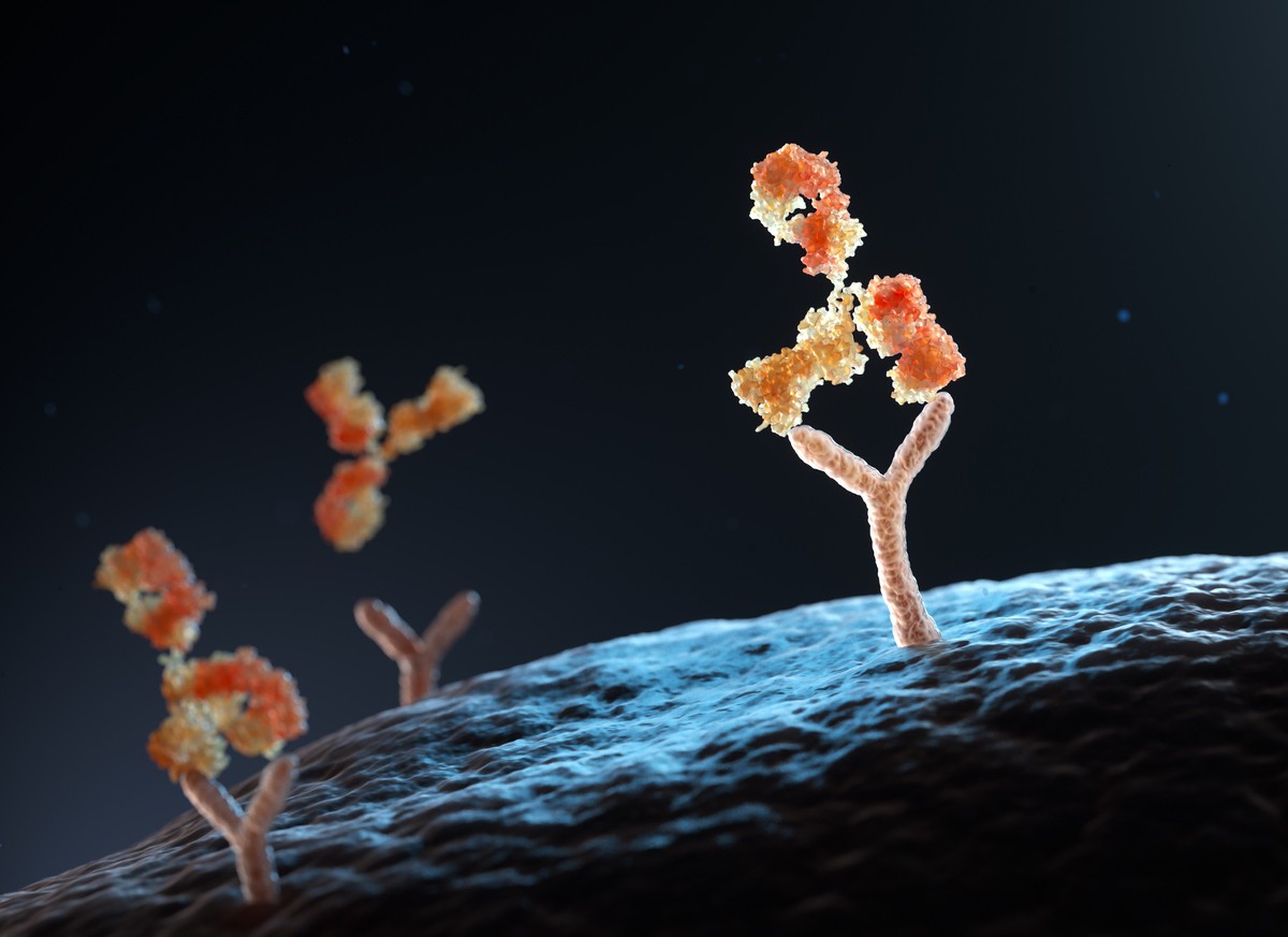 Immunogenicity Assay | BioAgilytix