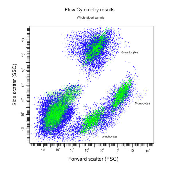 Flow Cytometry Assay Bioagilytix