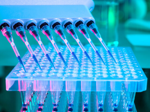 PK Assay Analysis and Reports | BioAgilytix